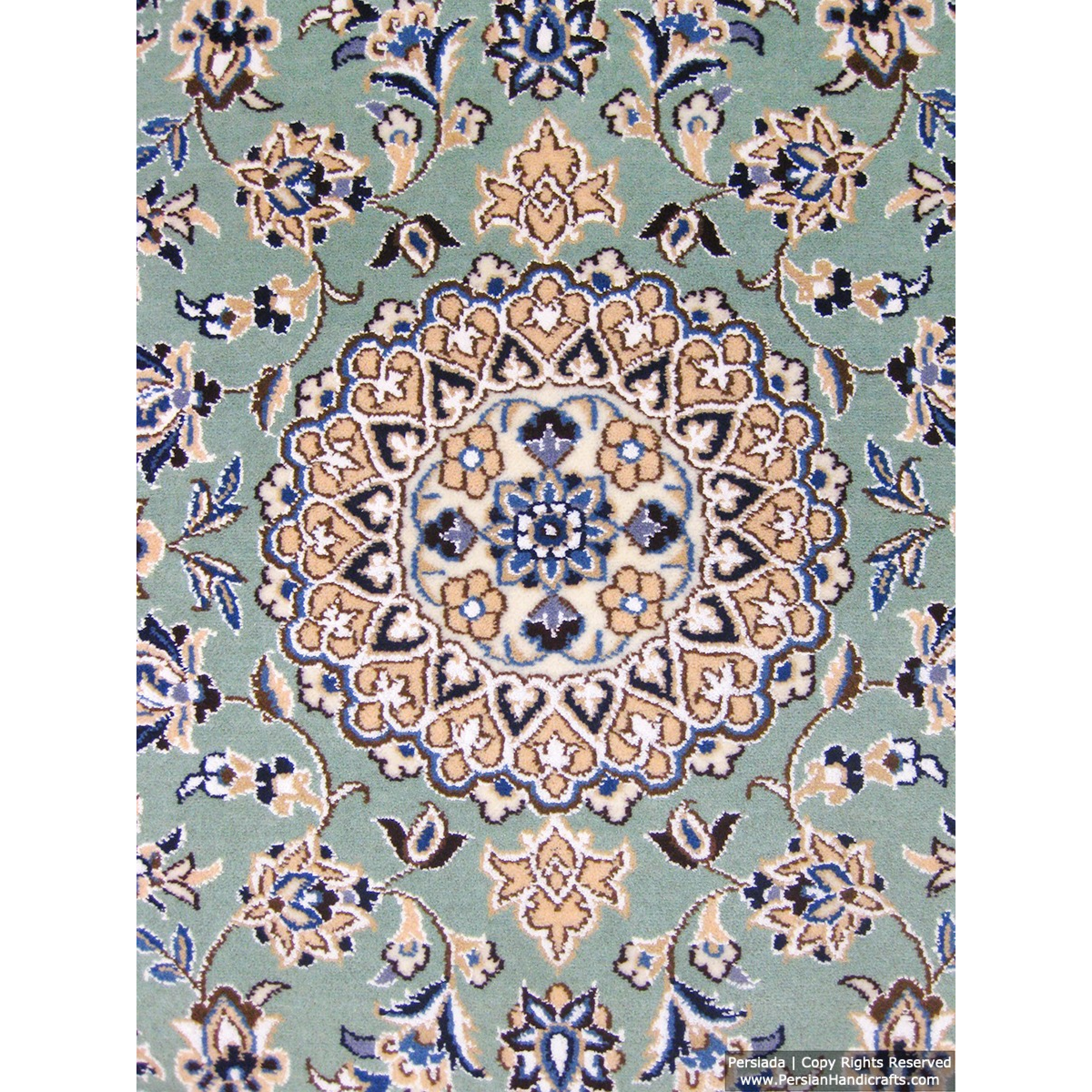 Medallion Design Wool & Cotton Naein Persian Rug - RN5005