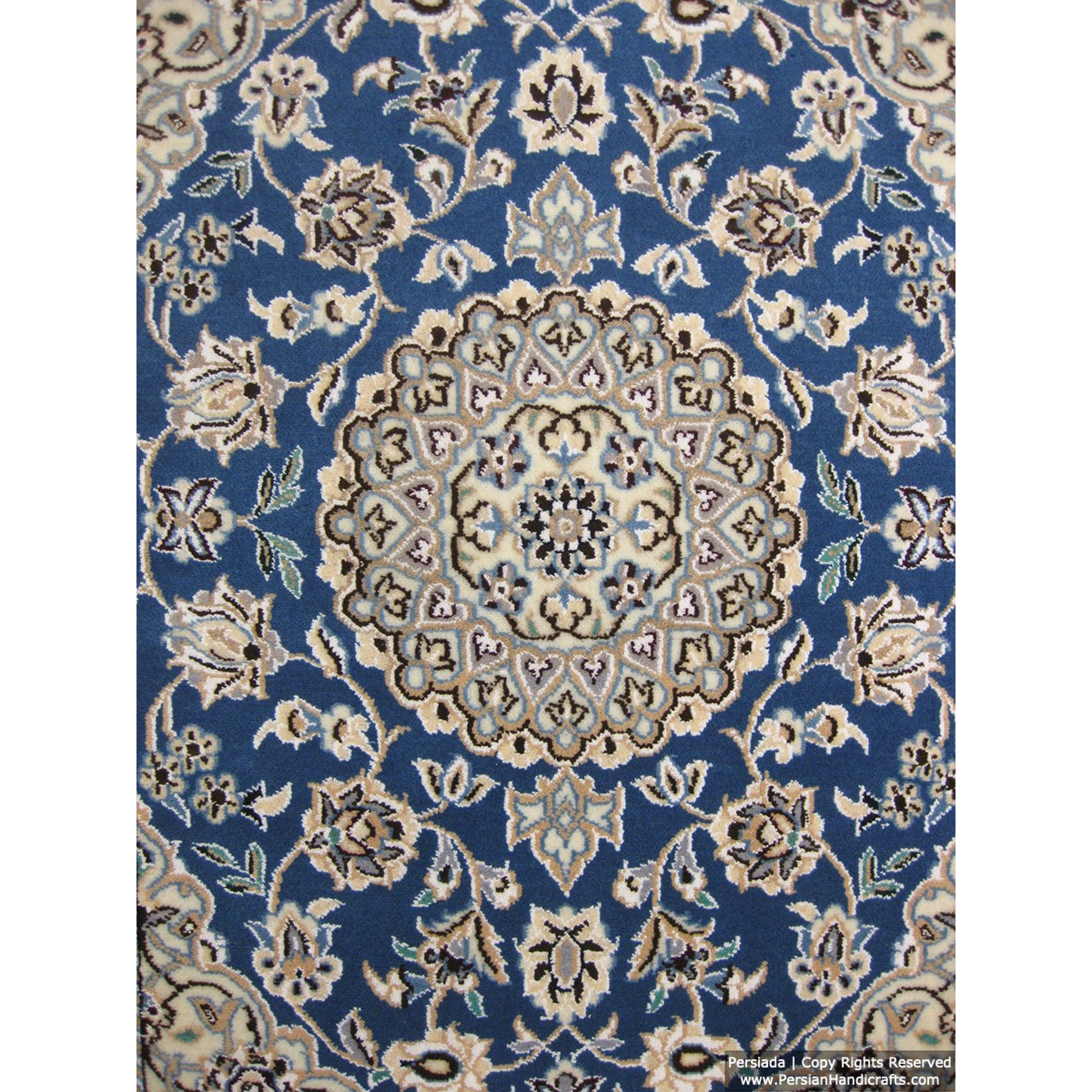 Medallion Design Wool & Cotton Naein Persian Rug - RN5006